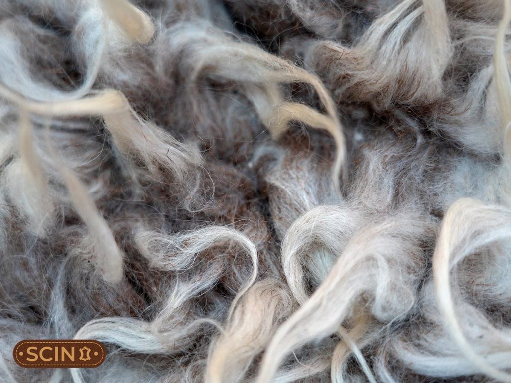 20 Different Types of Wool | The Ultimate Guide