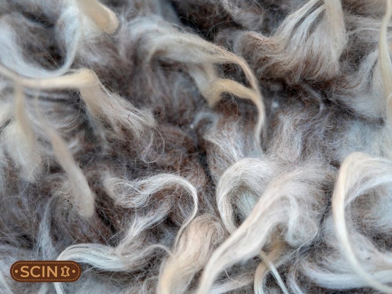 20 Different Types of Wool | The Ultimate Guide