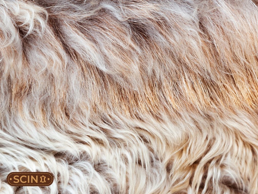 20 Different Types of Wool | The Ultimate Guide